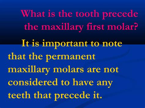 Upper First Molar Ppt