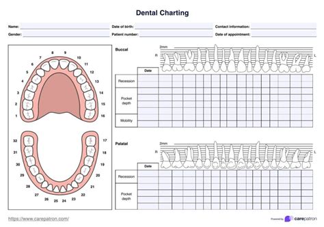 Dental Charting Template Printable Chart Templates
