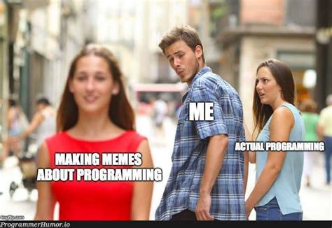 Typical programmer in Reddit – ProgrammerHumor.io