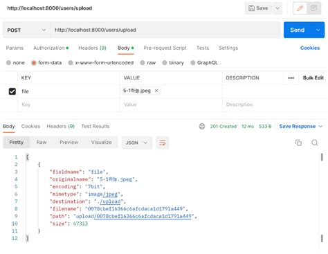 NestJS 기초 이미지 파일 업로드하기 휘 끝나지 않은 이야기