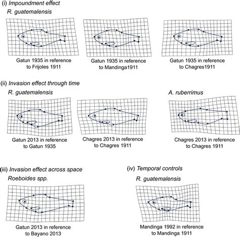 A Visual Representation Of The Statistically Significant Geometric