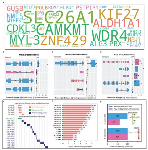 Clinically Relevant Genes With New High Confidence Rna Isoforms Download Scientific Diagram