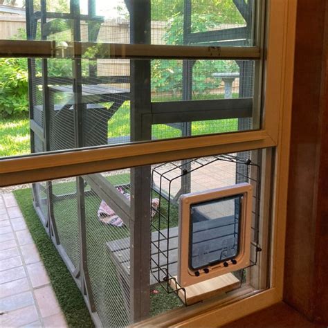 Window Cat Door Insert In 2025 Window Inserts Cat Door Windows And