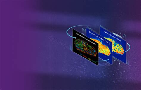 Stomics Stereo Seq Advanced Spatial Multi Omics Technology