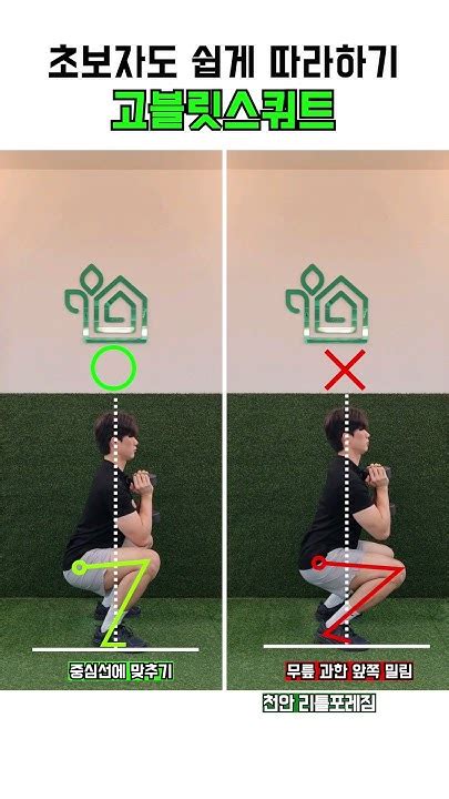 초보자도 쉽게 배울 수 있는 고블릿스쿼트 Youtube