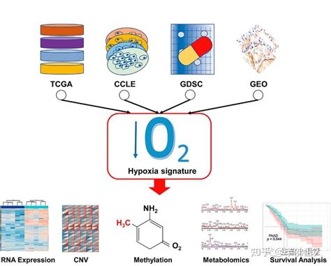 Cell新子刊，乏氧泛癌生信分析 知乎
