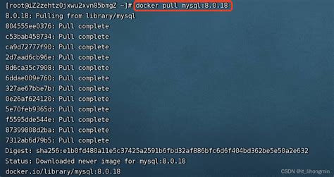 Docker安装mysql8、并打成镜像在其他内网环境部署 源码巴士