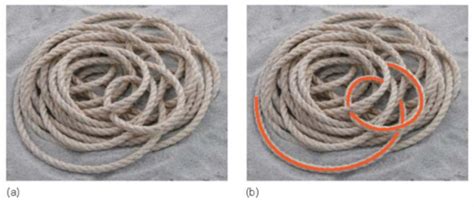 1 Perception Flashcards Quizlet
