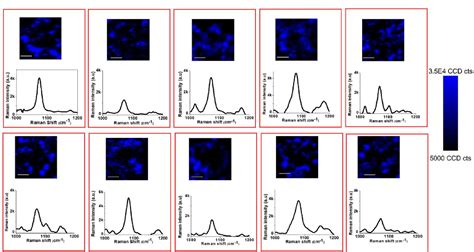 Figure From Parallel Profiling Of Cancer Cells And Proteins Using A Graphene Oxide