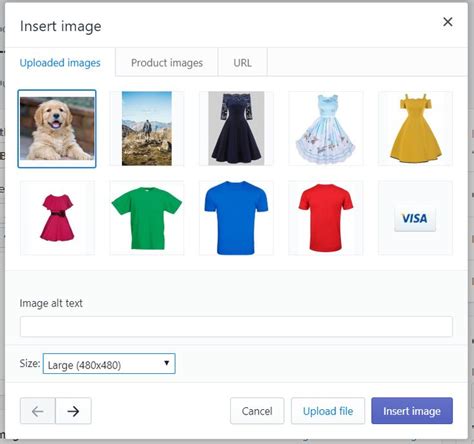 upload images with the rich text editor on shopify avada commerce