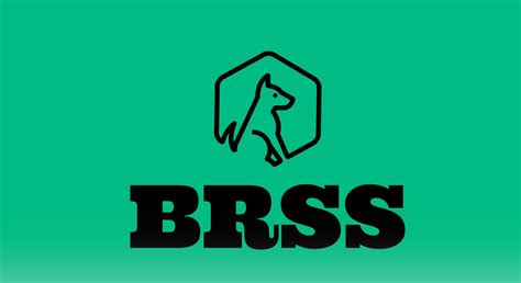 Brss Japan ブラス ジャパン ブレーキキャリパー・マフラー・レーシングパーツ