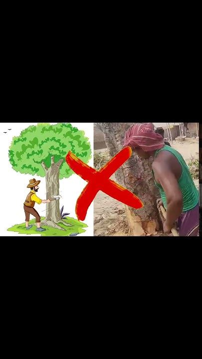 Indian Forest Act 1927 Indian Forest Act Drawbacks Indian Forest Service वन अधिनियम