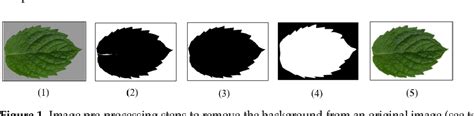 Figure 1 From An Ai Based Approach For Medicinal Plant Identification