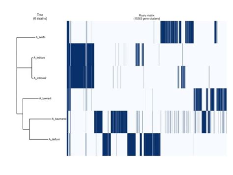 Do The Bioinformatics Related Work By Saiful Islam Fiverr