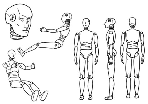 Body Outline Vector Art Icons And Graphics For Free Download