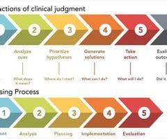 The Clinical Judgement Measure Model Foundations Flashcards Quizlet