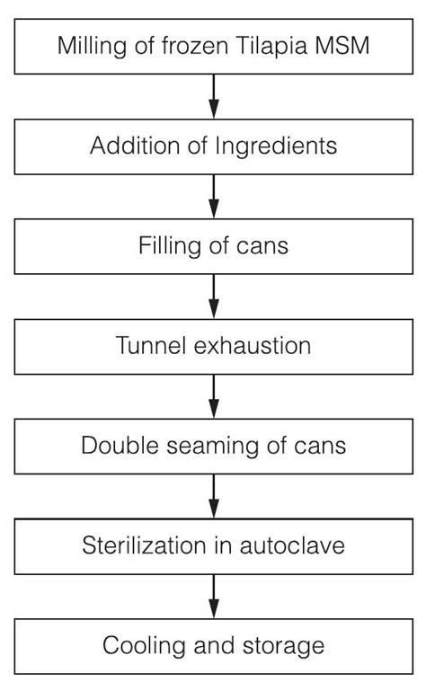 Processing Flow Chart Of Tilapia Msm Based Spread