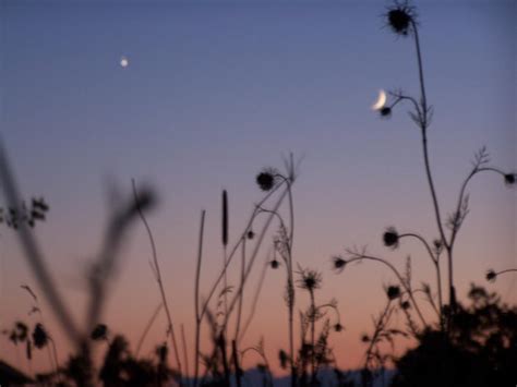Lazy Moon By Sedonasnow On Deviantart