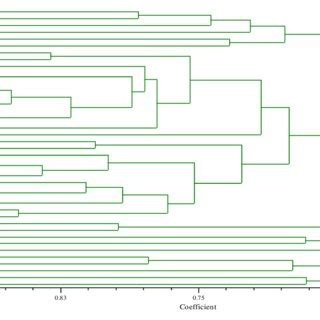 Dendrogram Derived From UPGMA Cluster Analysis Using Nei S Similarity