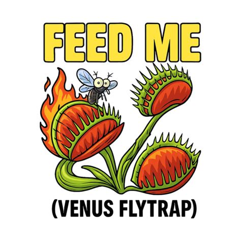 Feed Me Venus Flytrap Venus Flytrap T Shirt Teepublic