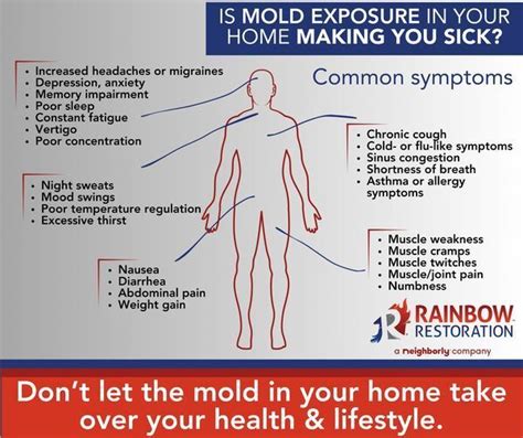 Scott Morehouse On Linkedin Allergic Reactions Mold Spores Can