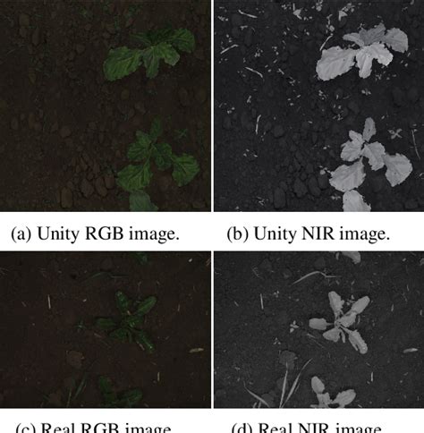 Figure 4 From Simulation Of Near Infrared Sensor In Unity For Plant Weed Segmentation