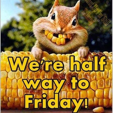 Happy Hump Day Wednesday Hump Day Hump Day Quotes Hump Day
