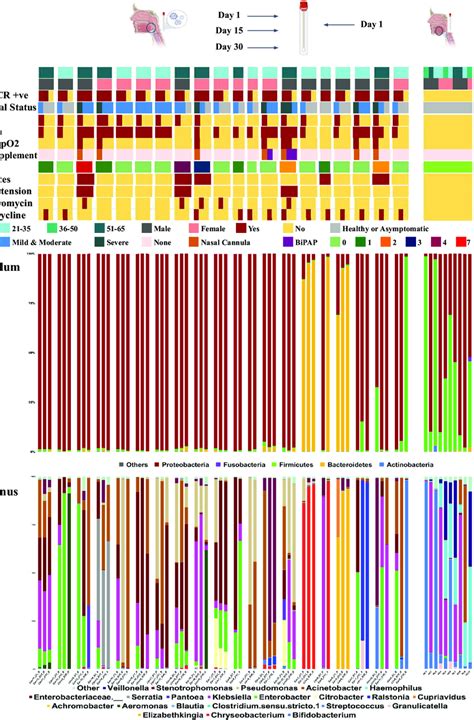 Schematic Representation Of The Study Design Demographic Download Scientific Diagram