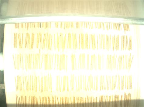 Burned Stick Crackers Parlak Object Detection Dataset And Pre Trained Model By Ankaratemizkirli