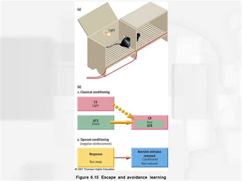 Learning Behavior Knowledge Capability Or Attitude Ppt Download