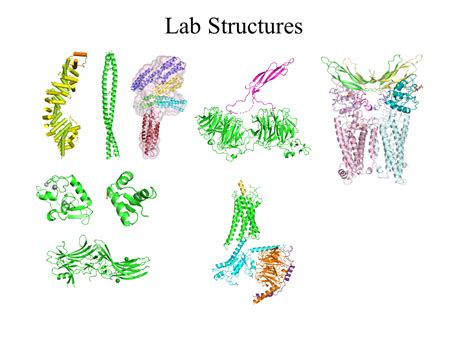 구조생물학 연구실 Biological Sciences Snu