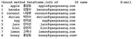pandas dataframe 데이터프레임 정보 조회 방법들