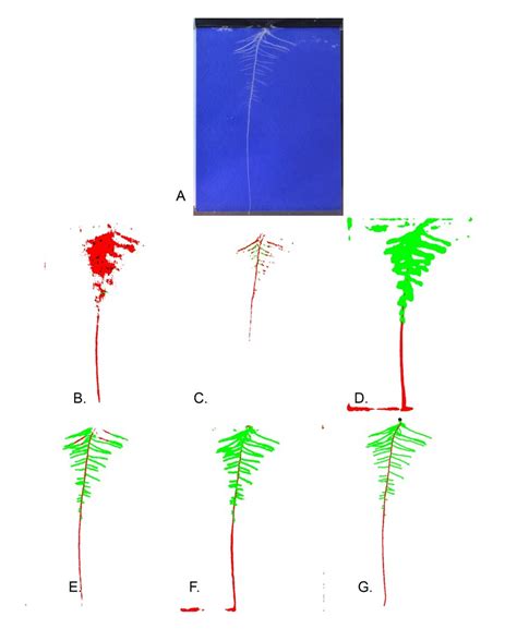 segmentation results analysis this figure provides a visual analysis