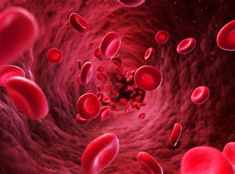 Physicochemical Properties Examples And Significance In Science