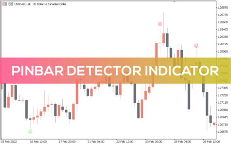 Pip Calculator Indicator For Mt5 Download Free Indicatorspot