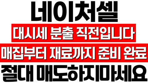 네이처셀 주가 전망 시세 분출 직전 매집부터 재료까지 준비 완료 아직 매도 타이밍 아니다 네이처셀 목표가 분석 네이처셀 조인트스템 줄기세포 네이처셀 스템셀 샴푸