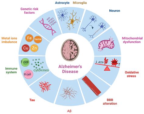 Recent Development In The Understanding Of Molecular And Cellular