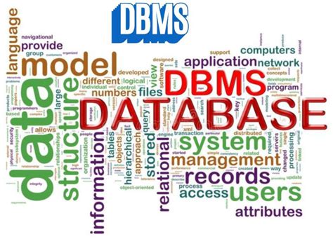 Pooja Gaikwad On Linkedin Database Management System Is A Software