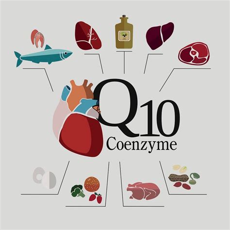 Coenzyme Q10 And Quercetin At Kimberly Mayer Blog