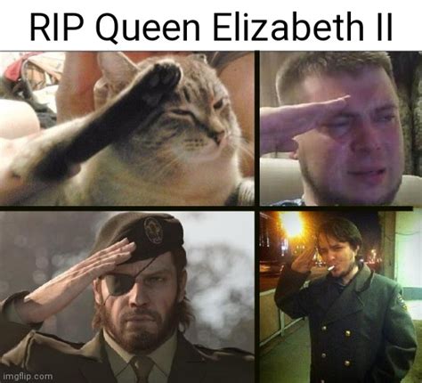 I Salute Memes Memes On X I Salute You Walnut