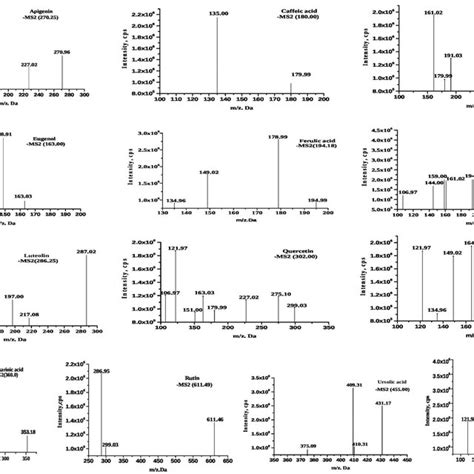 Graphical Representation Of Ms Ms Spectra And Fragmentation Profile Of Download Scientific
