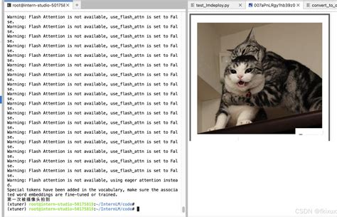 InternVL 微调实践