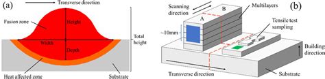 Schematic Diagram Of A Cladding Dimension Measurement B Sampling Download Scientific