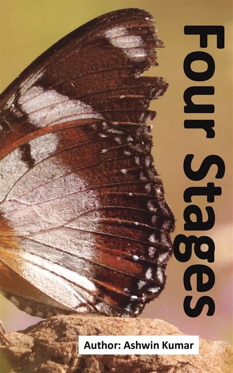 Four Stages Of Self Transformation