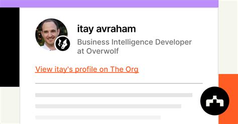 Itay Avraham Business Intelligence Developer At Overwolf The Org
