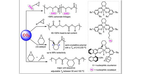 Co2 Copolymers From Epoxides Catalyst Activity Product Selectivity