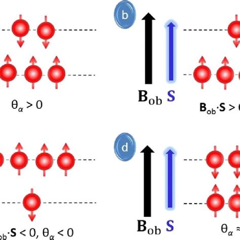 Schematic Description For Nuclear Spin Distribution During Sweeping Of Download Scientific