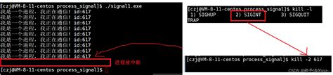 linux——进程信号详解 linux进程信号 csdn博客