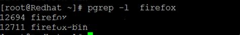 Linux如何使用kill命令强制终止进程 系统之家