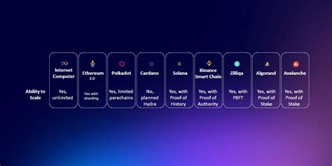 Layer 1 Blockchain Comparison What Is The Future Of Web3
